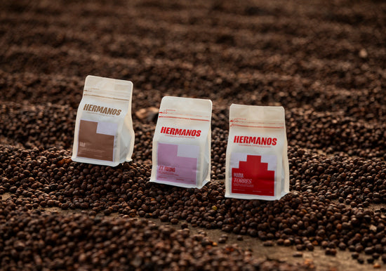Hermanos Colombian Coffee Roasters | Specialty Coffee Shop